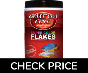 8 Best Guppy Flake Food - Raising Beautiful & Healthy Guppies